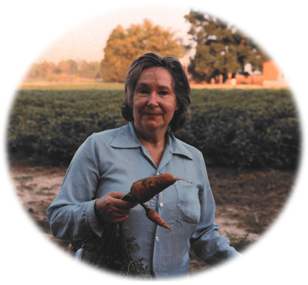 Doris Lucille Jones | JoCo Report