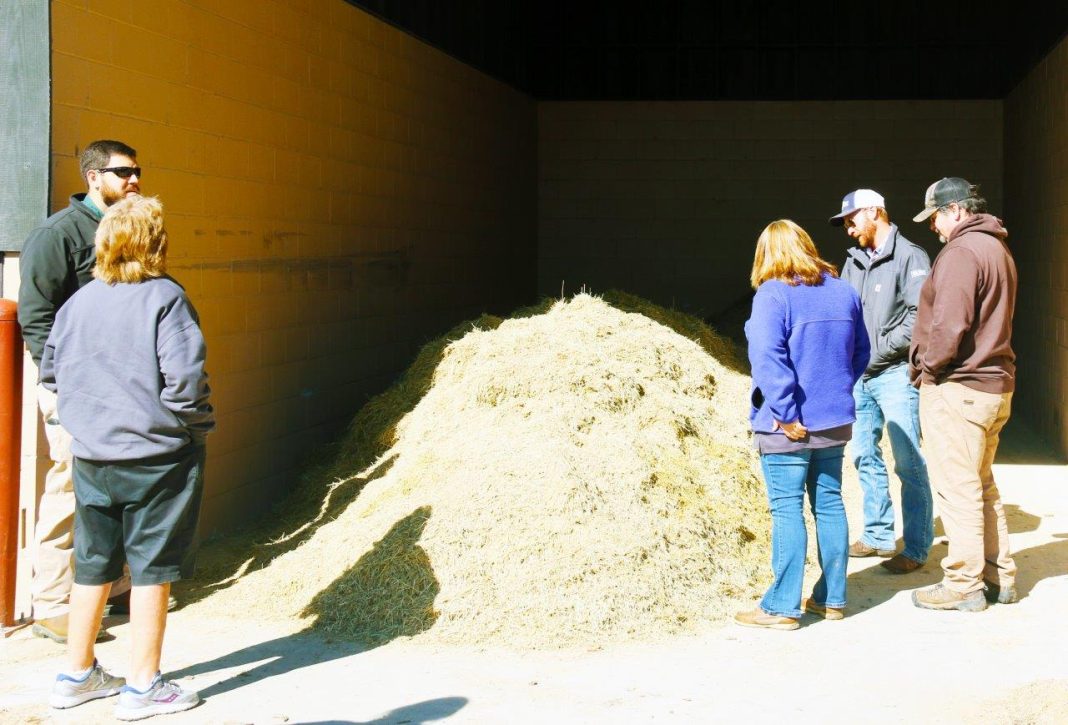 Smith Family Expanding Bigtime Cattle Operation In Small Town Turkey ...