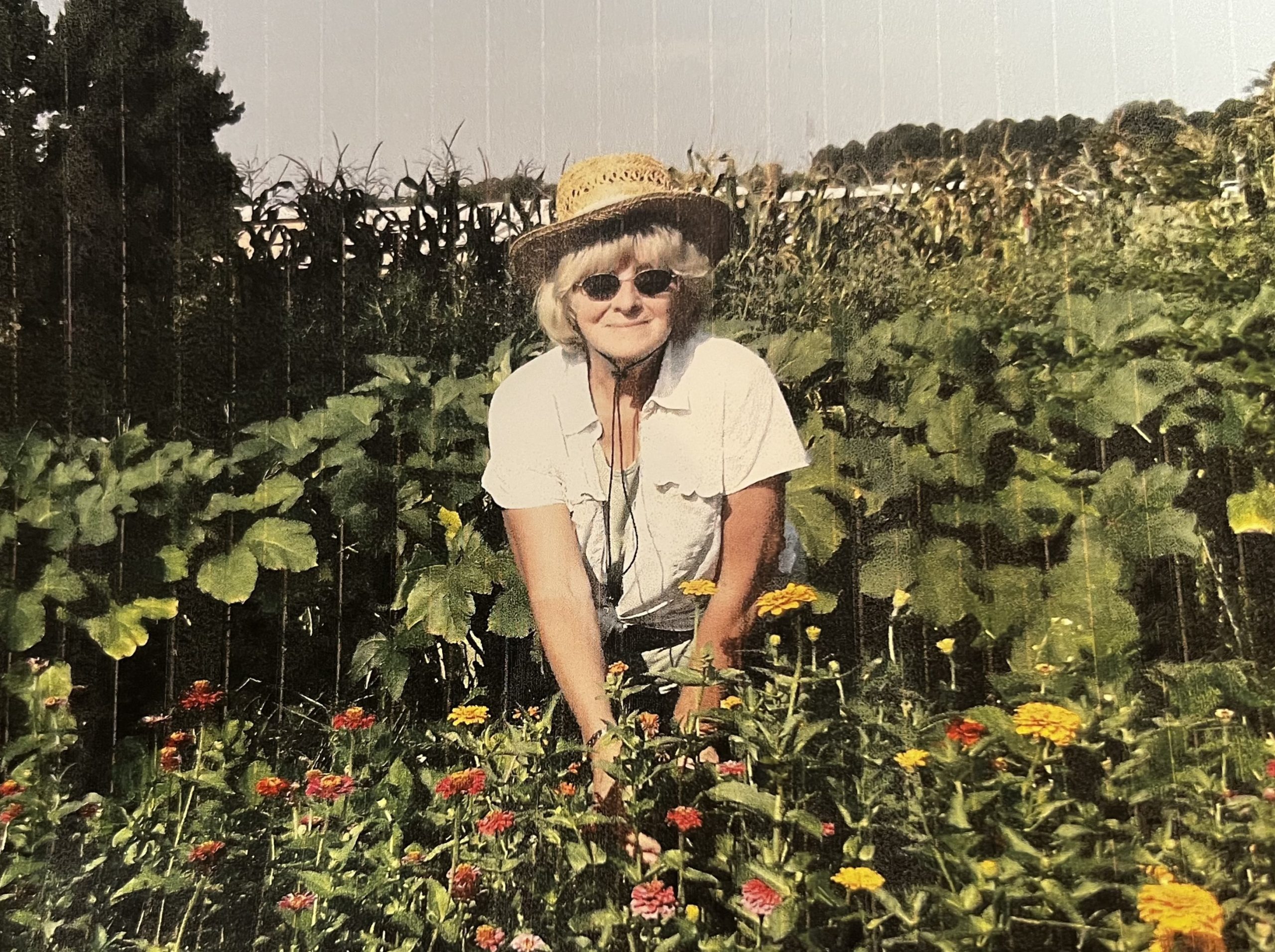 Joyce Hardee Putnam – JoCo Report