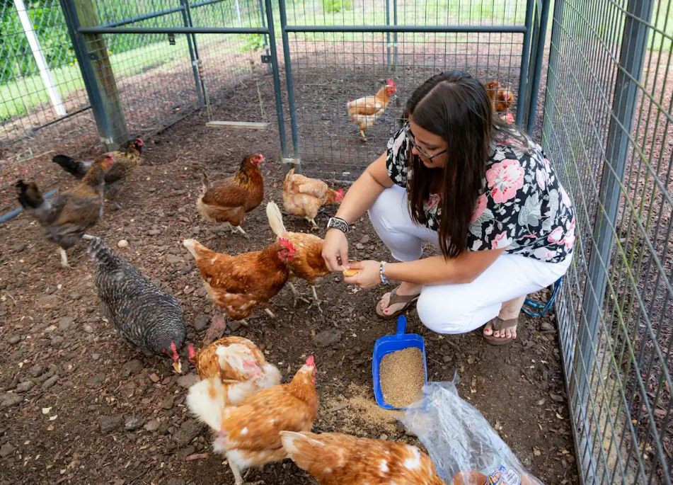 Ashley Holloman Named JCPS 2024 Career & Technical Education Teacher Of ...