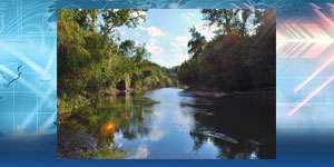 Neuse-River—FI | JoCo Report