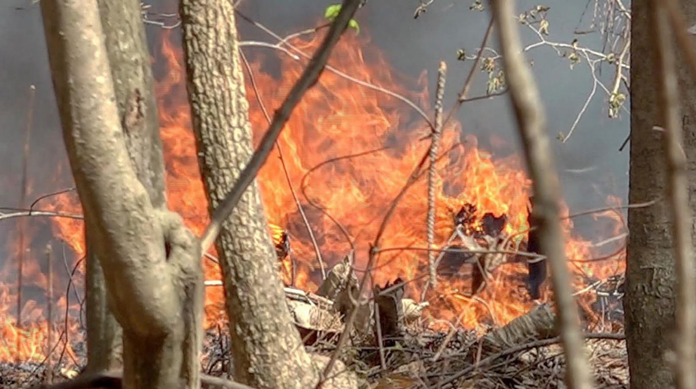 Woods Fire Burns Several Acres | JoCo Report