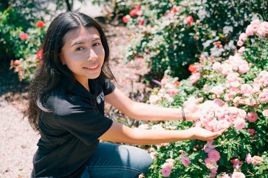 Emily Sierra-Uriostegui Experiences Blossoming Internship At JC ...