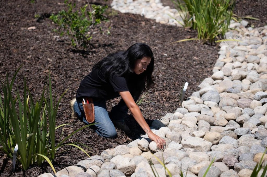 Emily Sierra-Uriostegui Experiences Blossoming Internship At JC ...