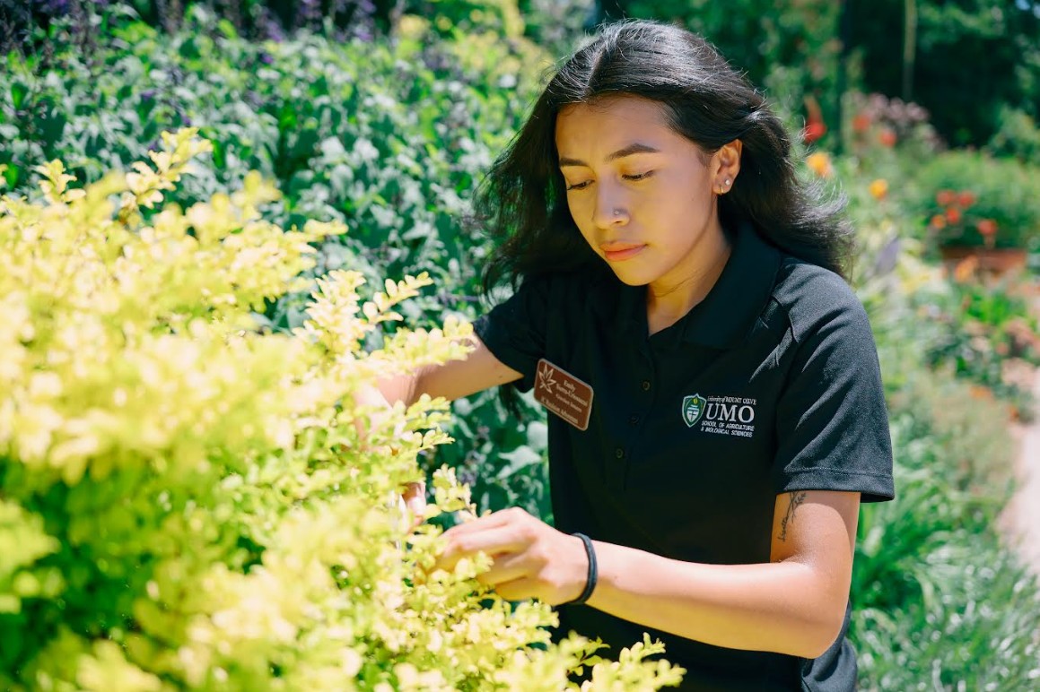 Emily Sierra-Uriostegui Experiences Blossoming Internship At JC ...