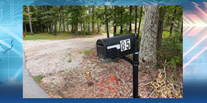 85-Little-Giant-Way-FI – JoCo Report