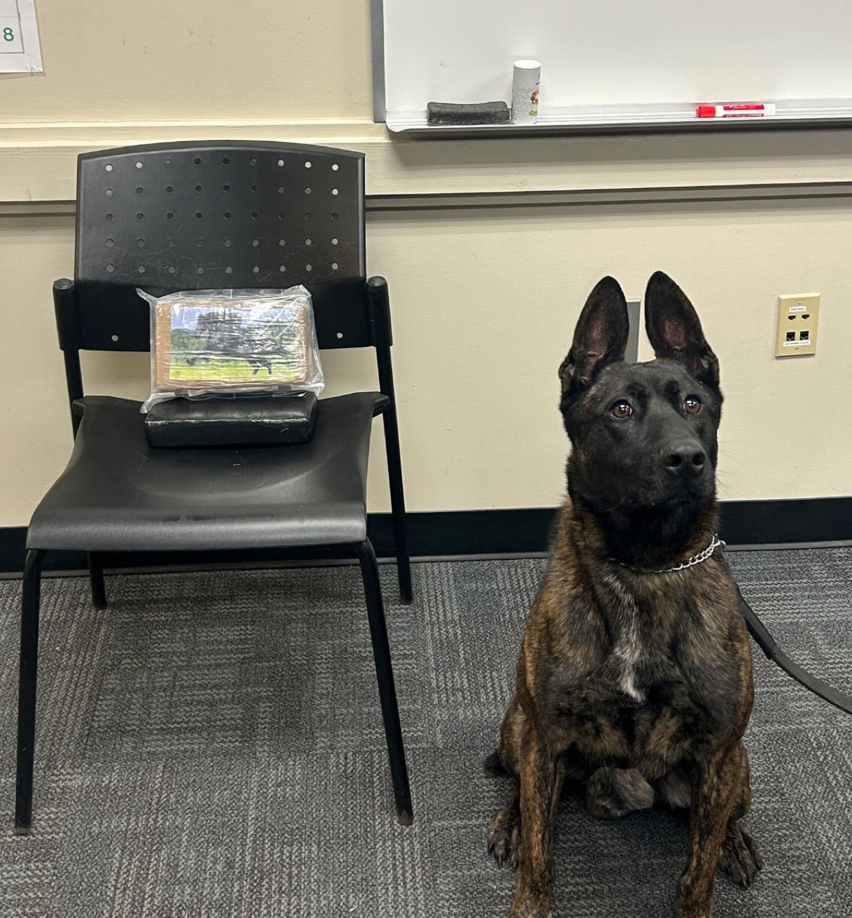 K9 Alert During Sampson County Traffic Stop Uncovers Cocaine, Weapons – JoCo Report